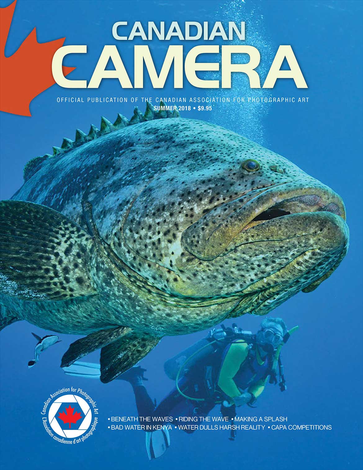 35 Best Photography Magazines You Should Follow in 2025