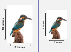 How Big is 5×7 Photo Size?